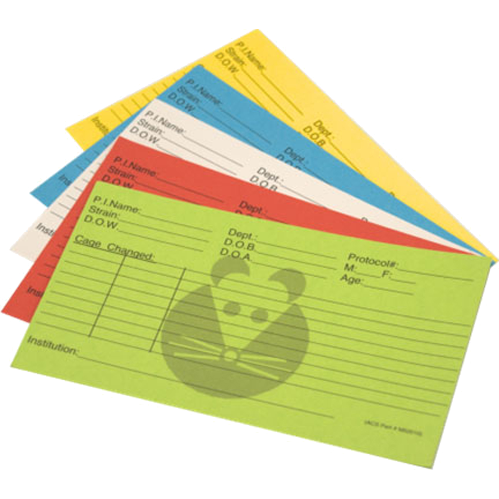 Cage Card 3 X 5 Animal Care Systems