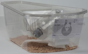 Optimice Single-Use Cage Bottom - Animal Care Systems