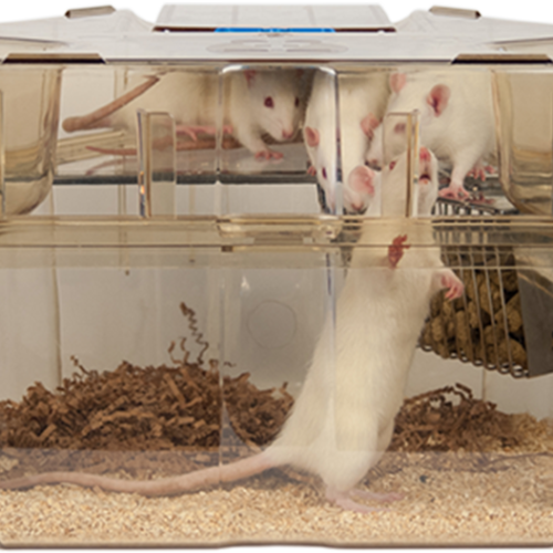 Optirat® Plus - Animal Care Systems