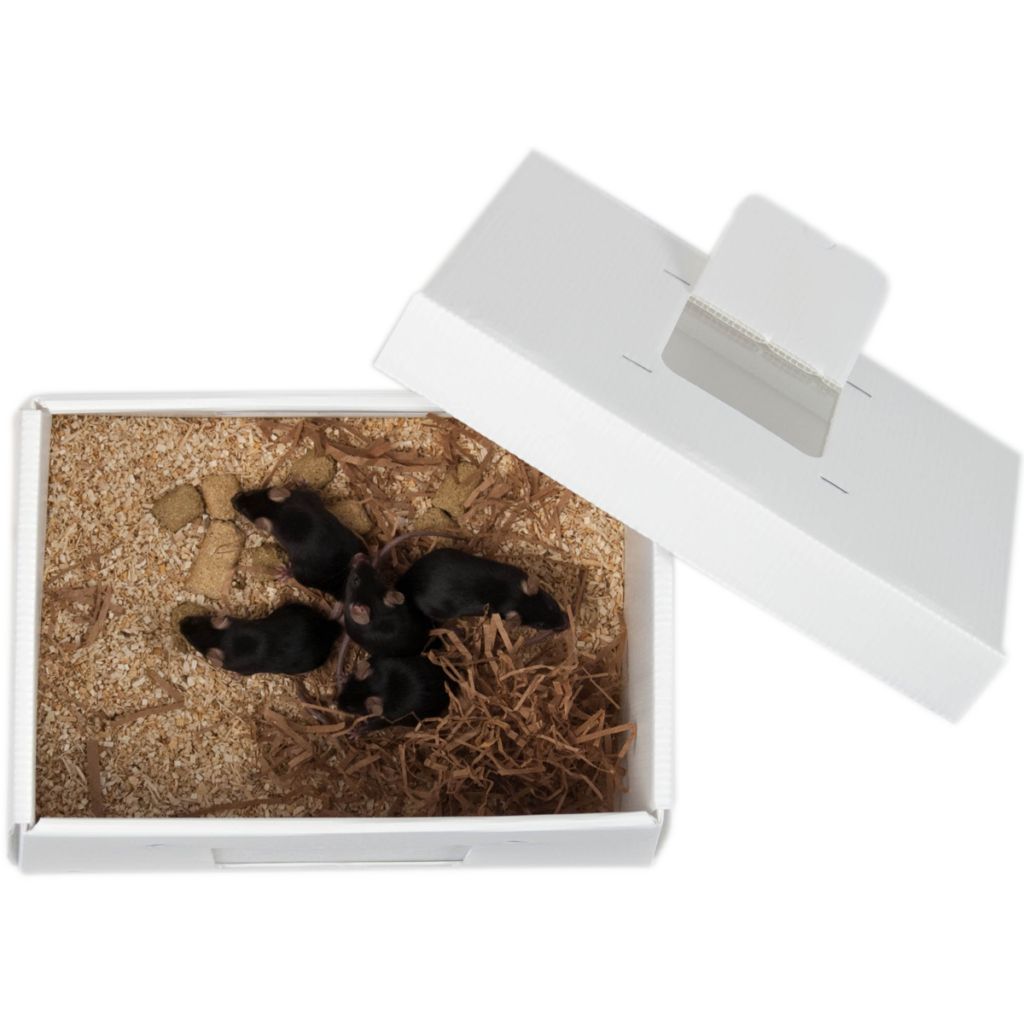 Small ground transport box for rodents, pack of 20 - Animal Care Systems