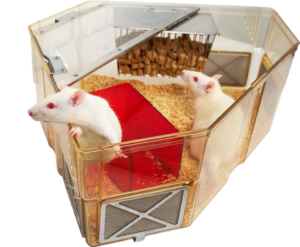 Laboratory Rodent Cages & Housing - High Density - Animal Care Systems