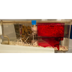 Mouse Cage Enrichment Loft - Animal Care Systems
